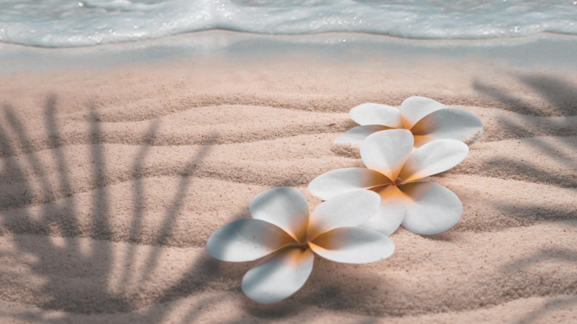 Monoï de Tahiti : Bienfaits, Utilisations et Recettes | Naturals&co 🇨🇭